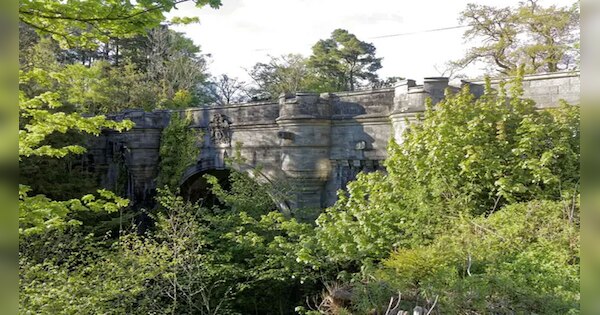 Why so many pets keep leaping into a Scottish Gorge Overtoun Bridge ...