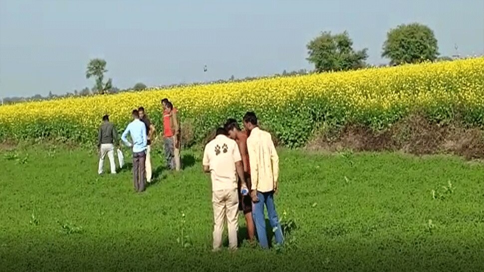 Panther forest department got footprints of Panther in movement area of ...