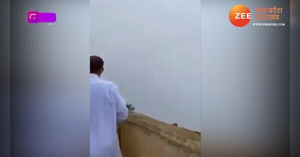 Monkey attacked arabian sheikh Viral Funny Video SPUP | WATCH FUNNY ...