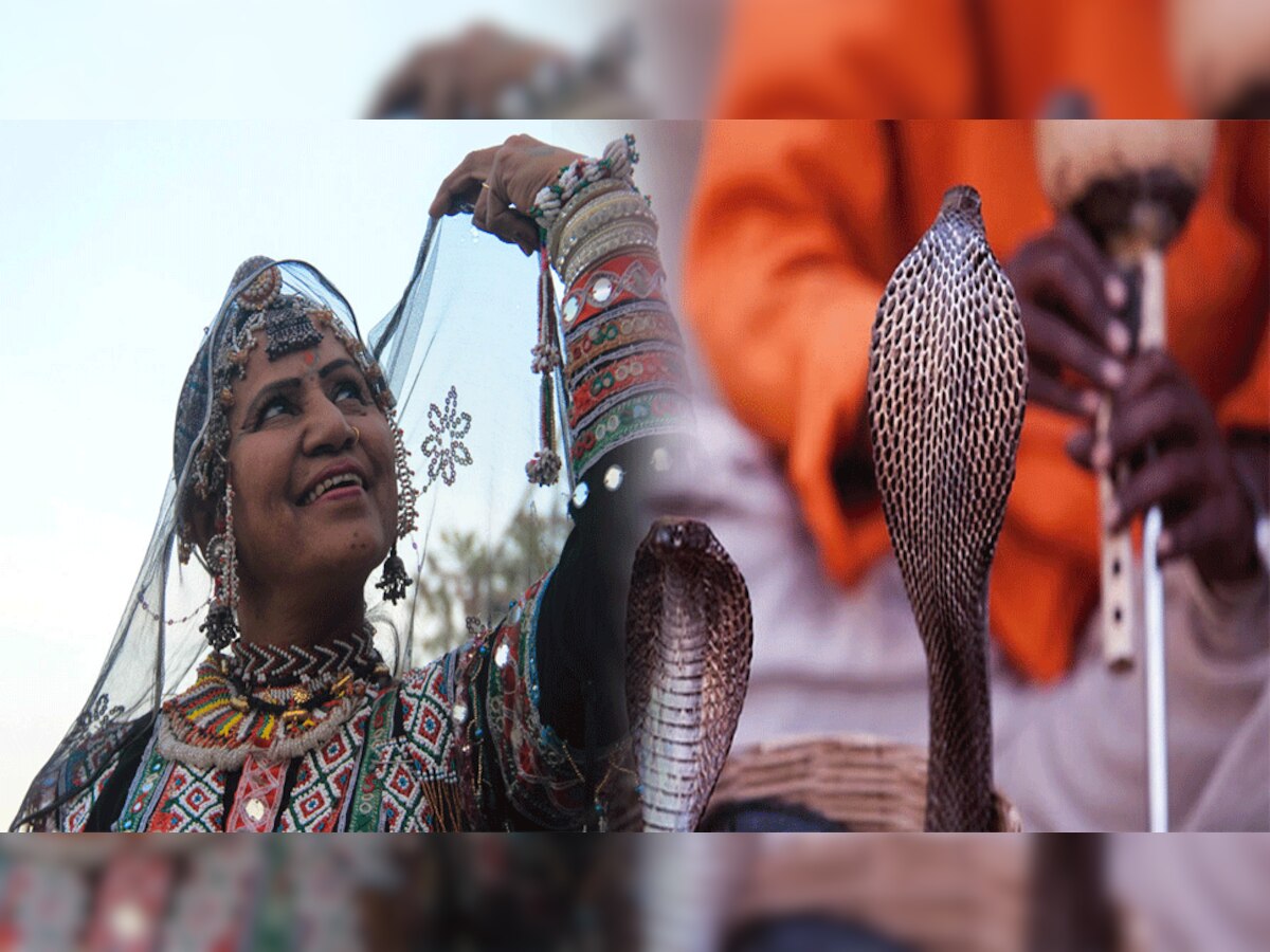 know the unique story of famous Dancer Kalbelian Gulabo Sapera | जन्म ...