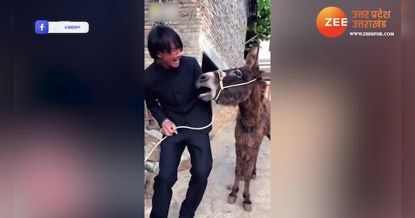 WATCH MOST VIRAL FUNNY VIDEO Donkey starts crying as soon as owner ...