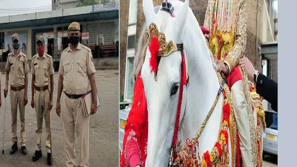dalit groom take part with horse at bindoli before marriage barat ...