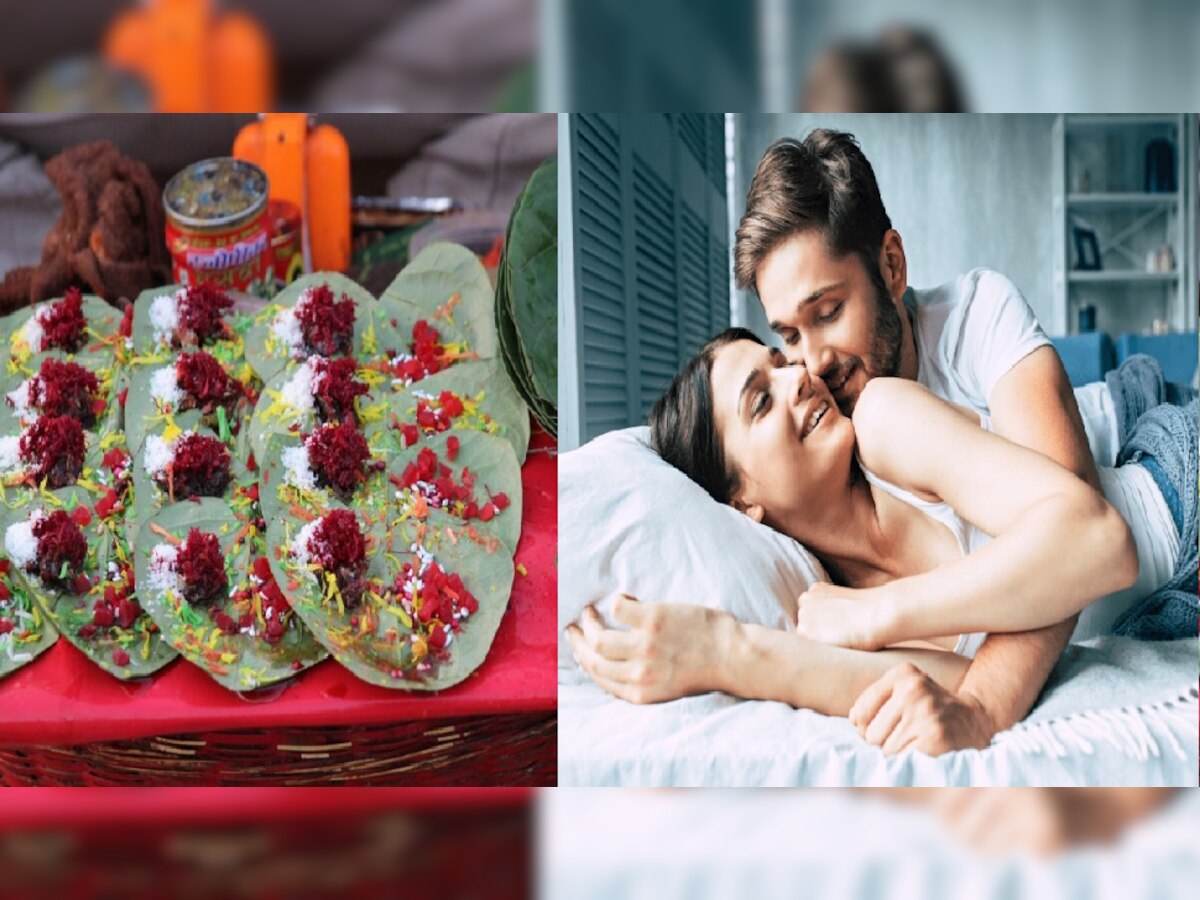 Paan or Betel Leaf Benefits for Men's Health Testosterone Libido