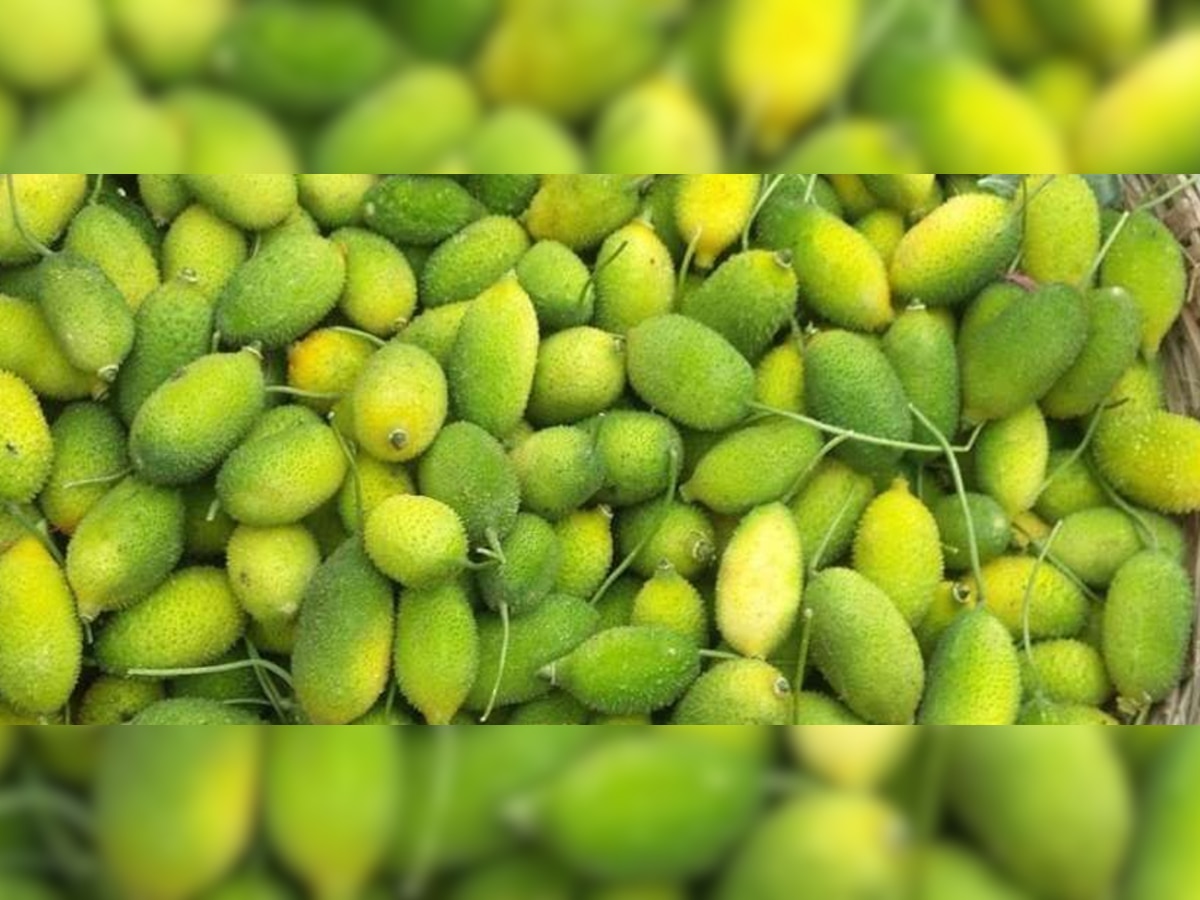 World most powerful vegetable kantola include in your diet immediately ...