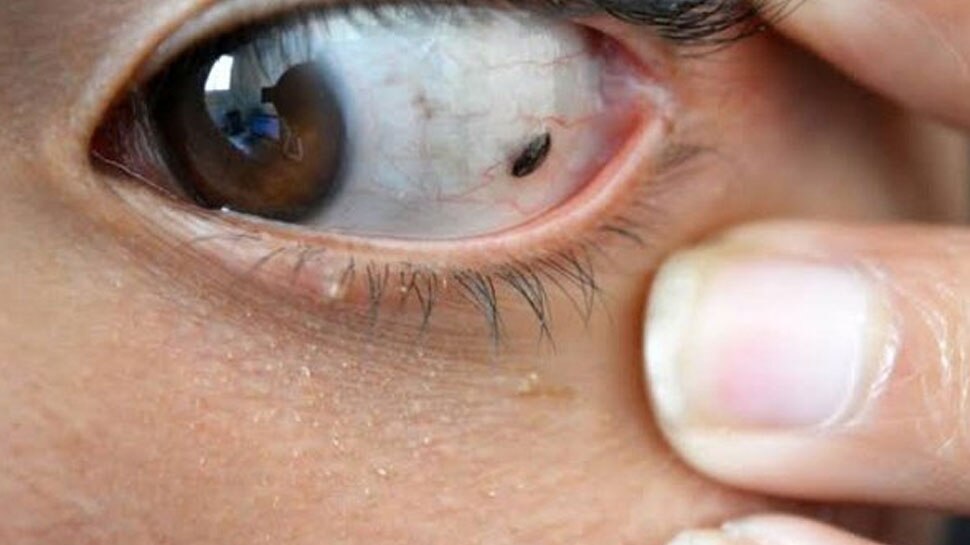 such women are very polite and lucky according to samudrik shastra ...