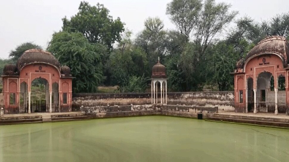 Sadulpur: Jaswant Sarovar is losing its existence due to lack of ...