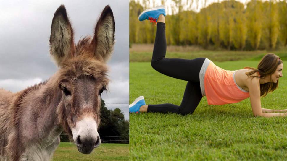 how donkey kick exercise is beneficial for fat burn know donkey kick ...