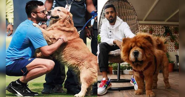 Indian Cricketers Pet Lovers Cricketers Sachin Tendulkar MS Dhoni Virat ...