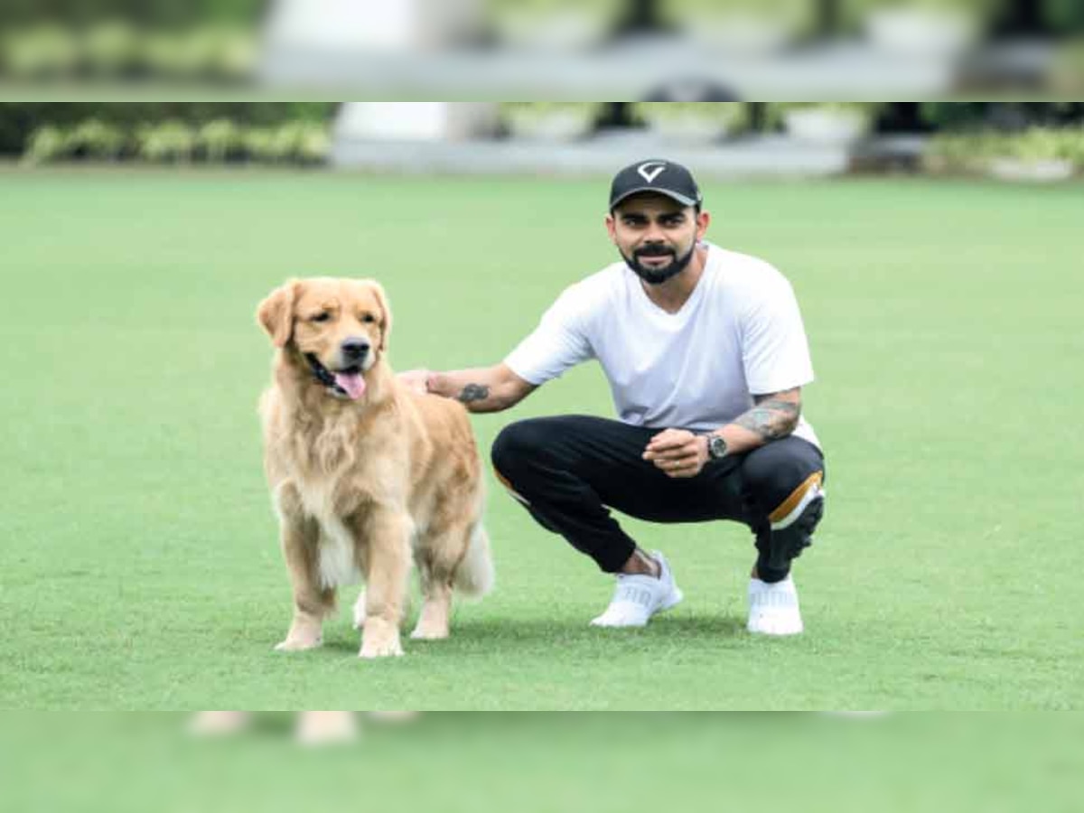 Indian Cricketers Pet Lovers Cricketers Sachin Tendulkar MS Dhoni Virat ...