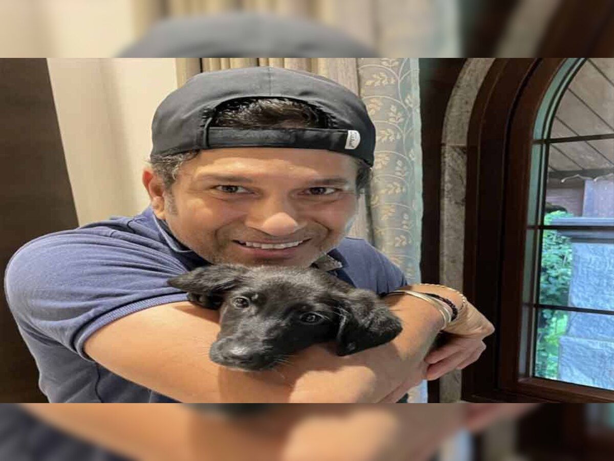 Indian Cricketers Pet Lovers Cricketers Sachin Tendulkar MS Dhoni Virat ...