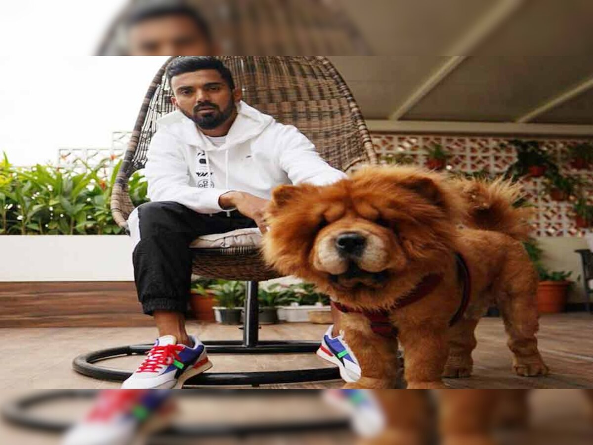 Indian Cricketers Pet Lovers Cricketers Sachin Tendulkar MS Dhoni Virat ...