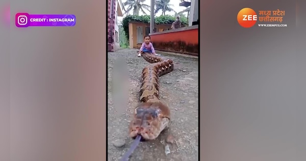 child playing with snake sit on dragon back ajgar ki peeth par baithkar ...