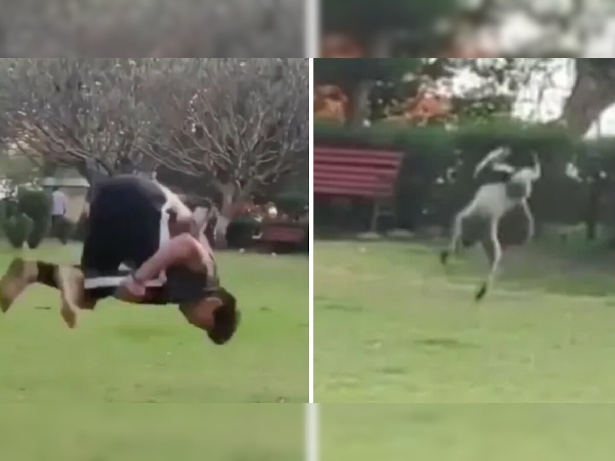 monkey did copy of the boy doing the backflip watching the video will ...