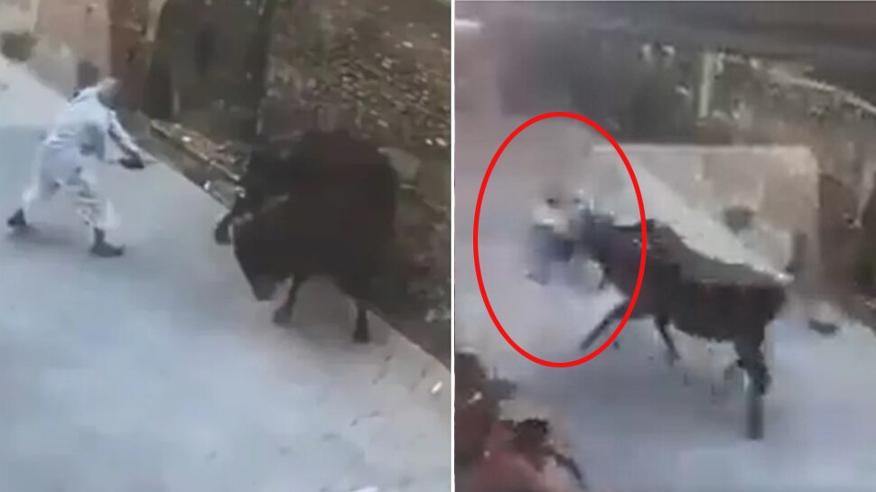 Man beat bull without any reason with sticks then animal did this in ...
