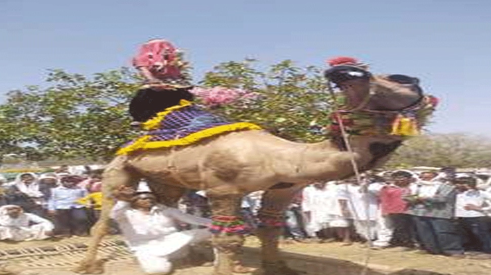 Huge fair of Dhavaja Vand Maharaj: Bhajan evening organized lakhs of ...