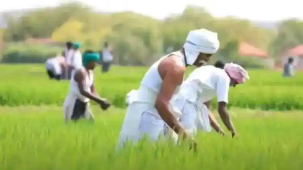 Kisan Call Center: Kisan call centre in jharkhand proving useful for ...