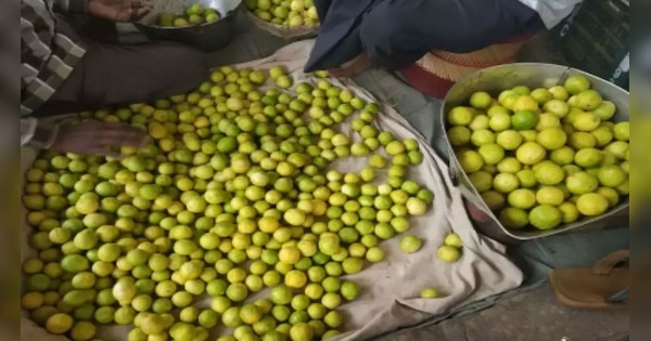 Lemon Inflation why are the prices of lemons suddenly increasing know ...