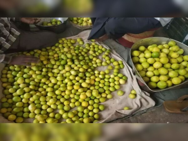Lemon Inflation why are the prices of lemons suddenly increasing know ...