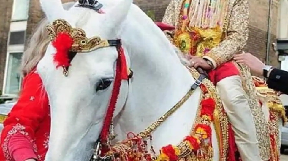 A day before wedding girl's body was found hanging under suspicious ...