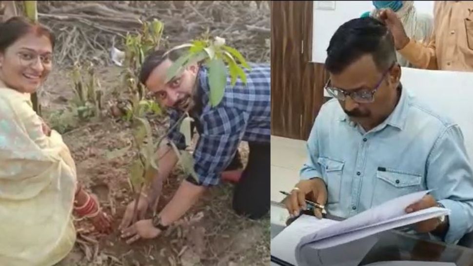 Additional Collector of satna district issued unique order for court ...