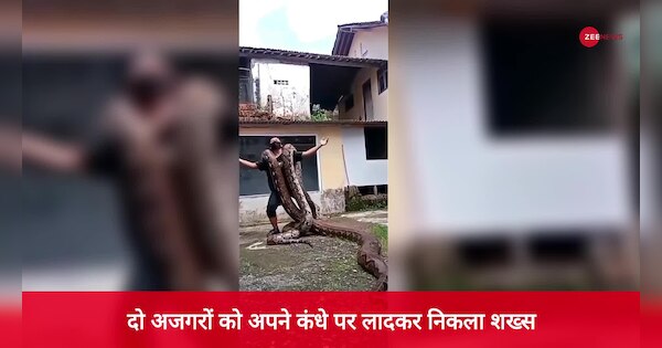 The man came out carrying two pythons on his shoulder | अजगरों को कंधे ...