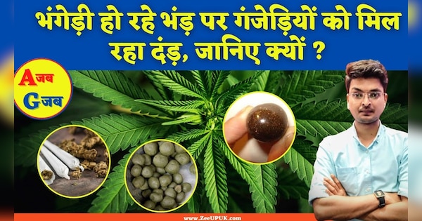 watch azab gazab differance between ganja bhang and charas all about ...