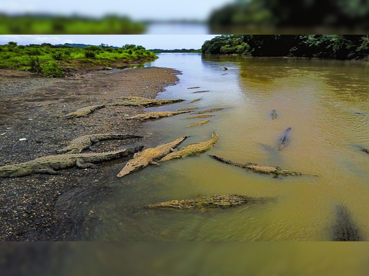 scary rivers dangerous rivers photos of most horrible rivers of the ...