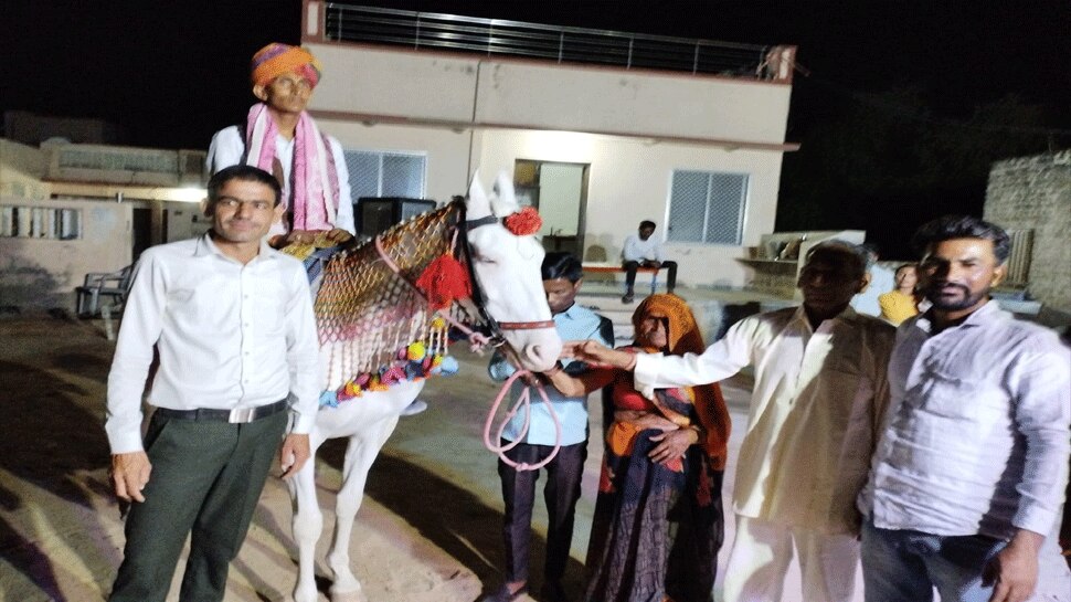 In Fatehpur Meghwal groom climbed mare people of golden caste took out ...