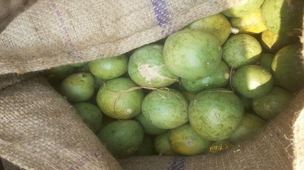 Bael fruit benefits for many health problems like digestive skin and ...