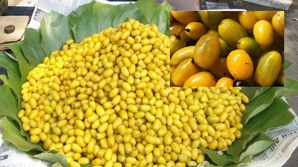 Khirni Fruit Health Benefits in Hindi Khirni increases semen and sperm ...