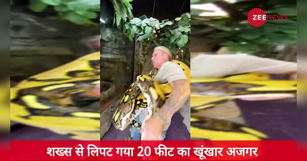 A 20-feet dreaded python got entangled with the man | शख्स से लिपट गया ...
