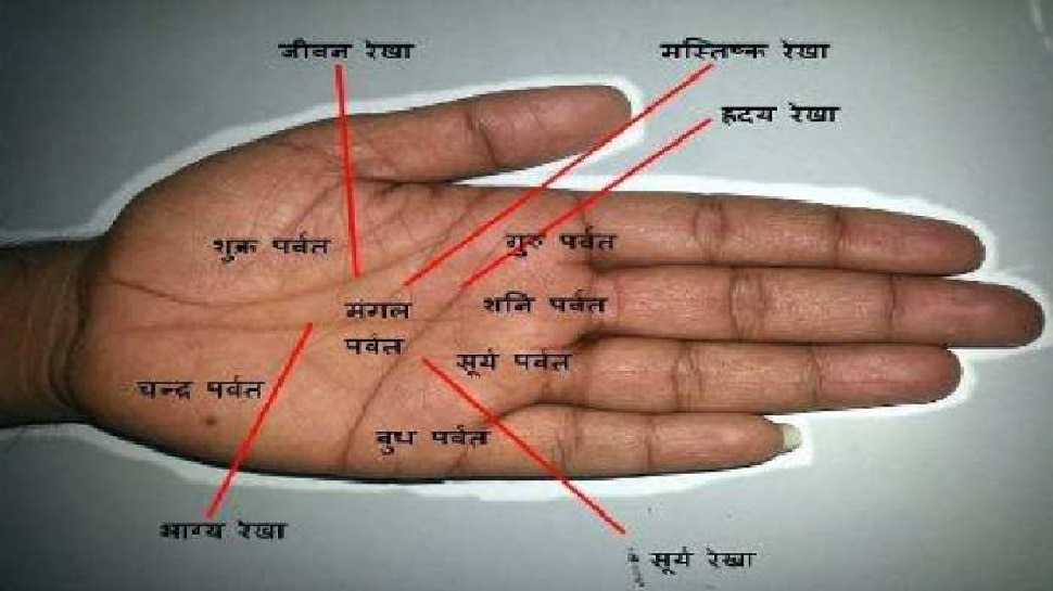 Palmistry: सौभाग्‍यशाली लोगों के हाथ में होती है 'विष्‍णु रेखा', जल्‍दी ...