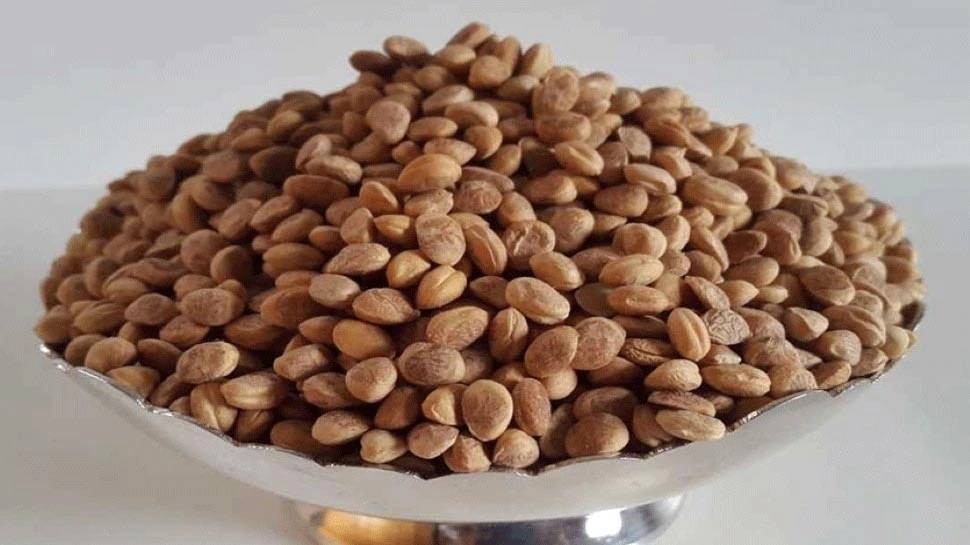 health benefits chironji good for men increases stamina know amazing ...