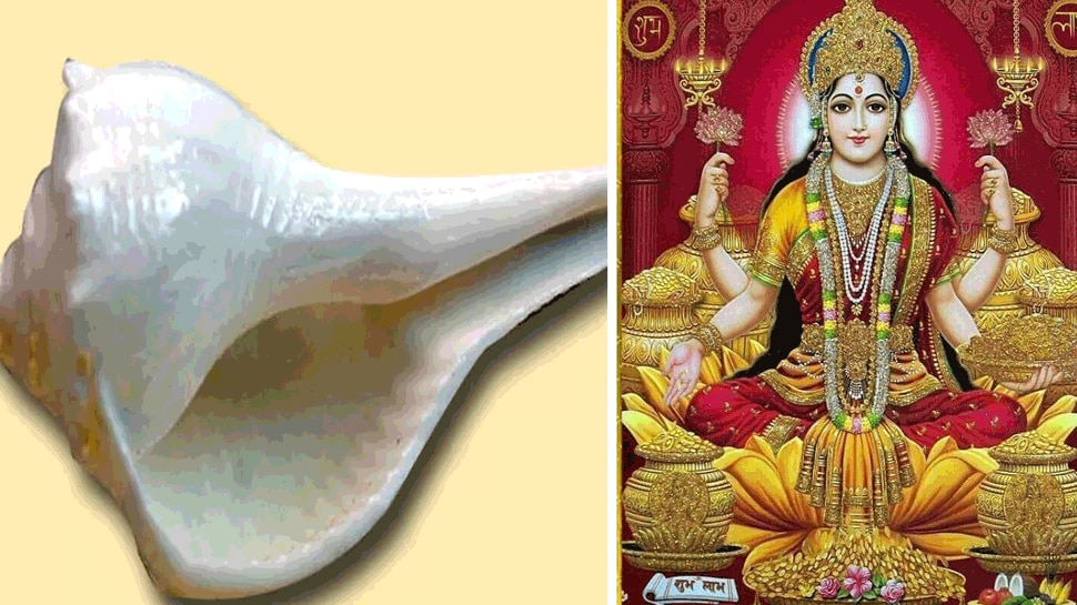 Dakshinavarti Shankh Worshiping with this method will make you rich it ...