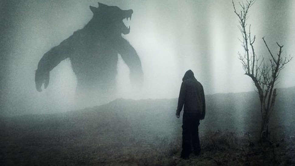 werewolf in amarillo zoo texas usa |Werewolf: क्या आपने जिंदगी में कभी ...
