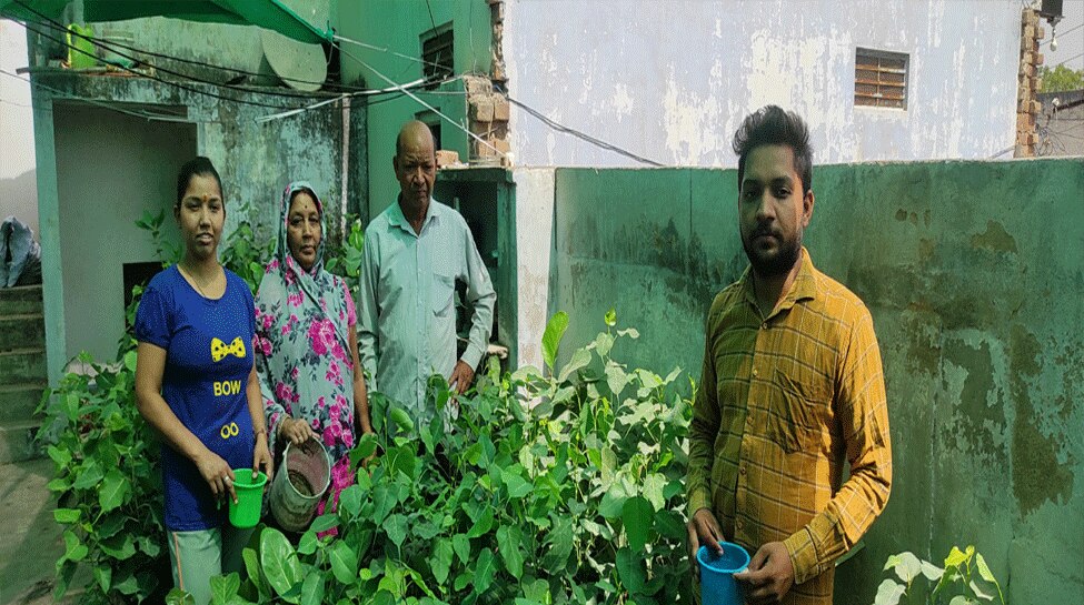 Distributing peepal and banyan plants for 47 years Jhunjhunu tree man ...