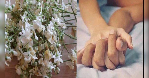 health benefits of Drumstick flower for men it will boost stamina ...