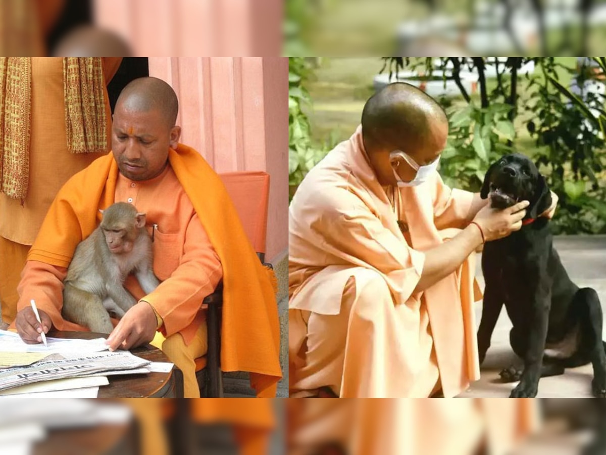 CM Yogi Adityanath 51th Birthday see yogi adityanath childhood to youth ...