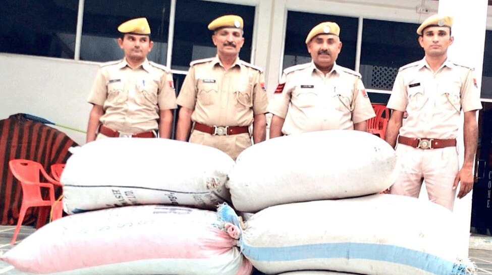 Crime News Illegal doda poppy worth 21 lakhs was recovered from the ...