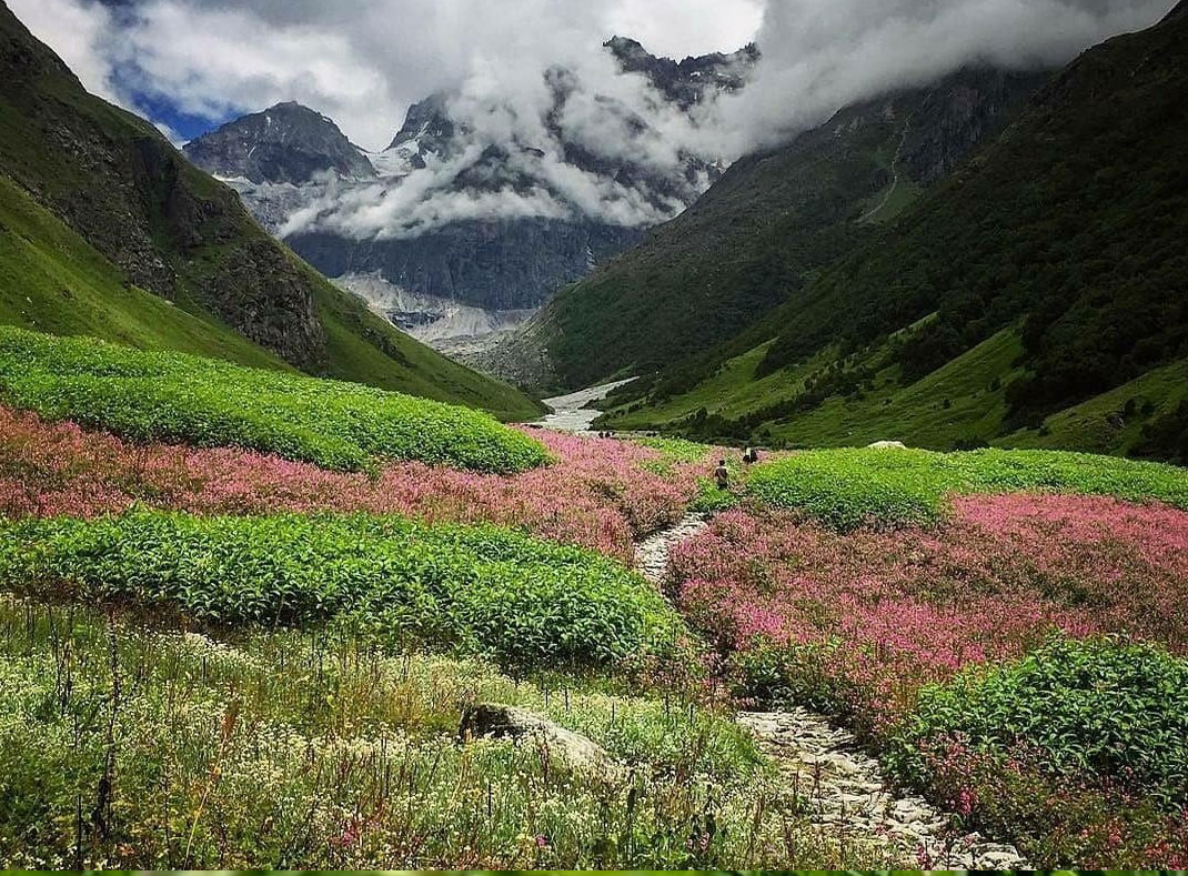 Valley Of Flowers, Chamoli, Joshimath, Dehradun, Valley of flowers ...