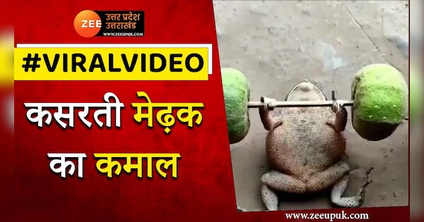 bodybuilder frog lifting dumbbells workout video goes viral | ये है ...