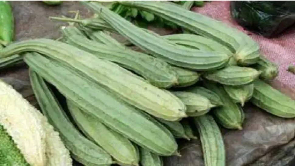 amazing health benefits ridge gourd turai khane ke fayde torai ke ...