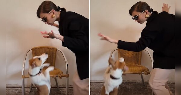 trending dog dancing with owner video viral on instagram reel comic and ...