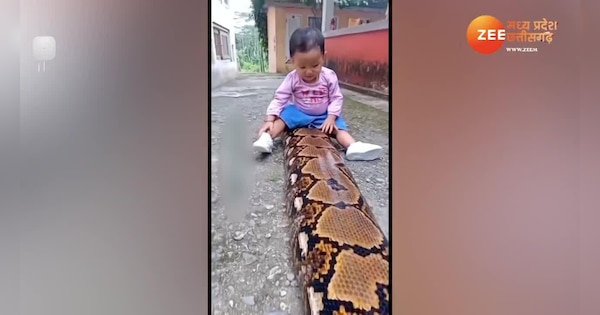 child sit on snake back playing with dragon ajgar ki peeth par khel ...