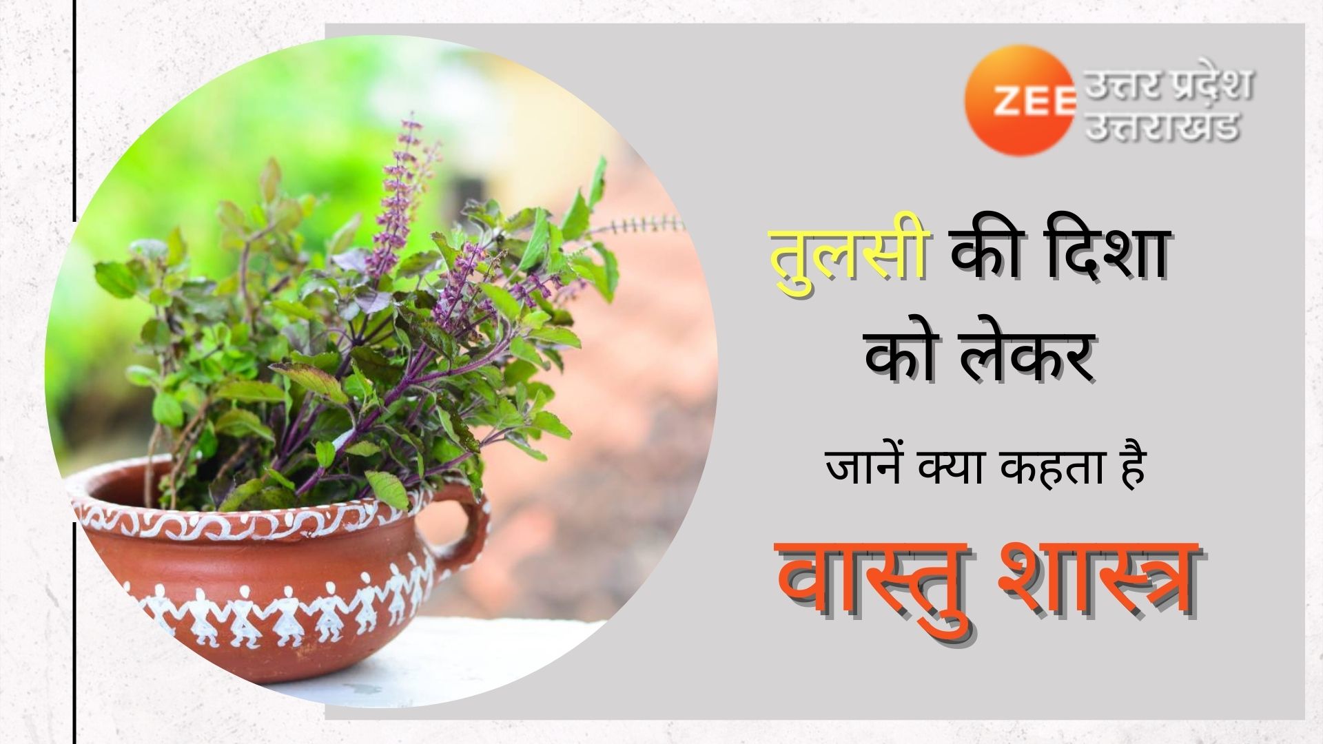 Vastu Shastra Tips for Tulsi Plant best direction and tulsi Pooja niyam ...