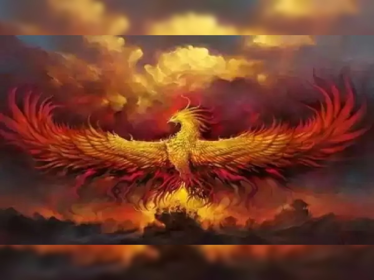 Vastu Tips: घर में इस कोण पर लगा लें खास 'पक्षी' की तस्‍वीर, उसके बाद ...