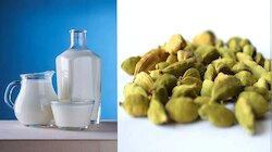 cardamom and Milk Benefits की ताज़ा खबरे हिन्दी में | ब्रेकिंग और ...