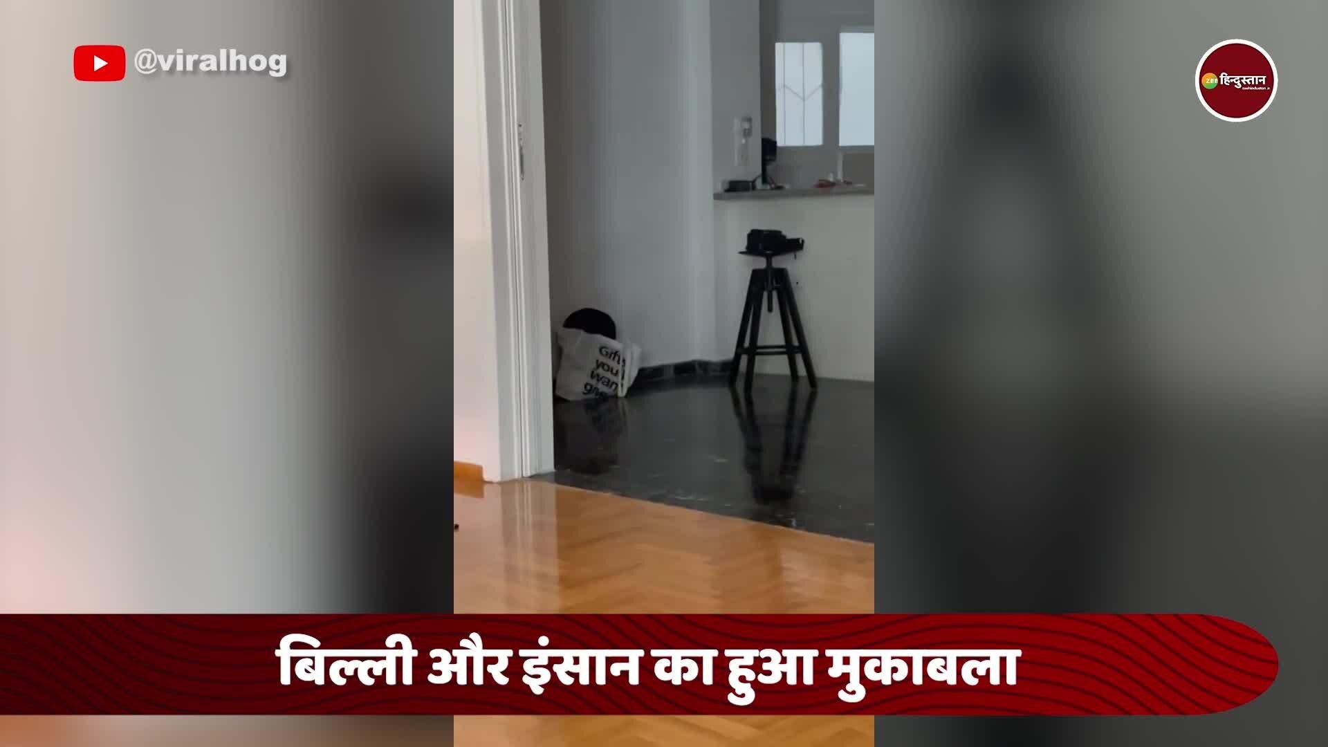 A man chases a cat and runs after it video went viral | बिल्ली और इंसान ...