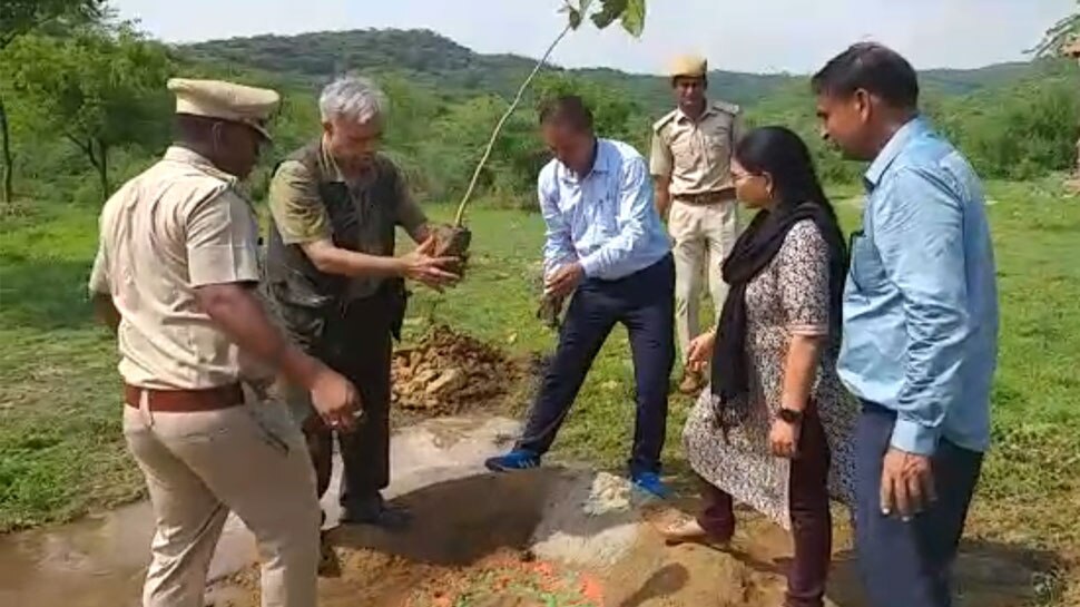 In Khetri Bansiyal Reserve Conservation will be planted sandalwood ...