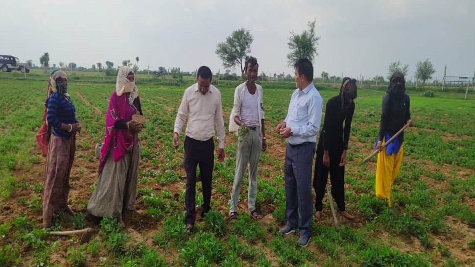 Agriculture Deputy Director visited Niwai took stock of crop located ...